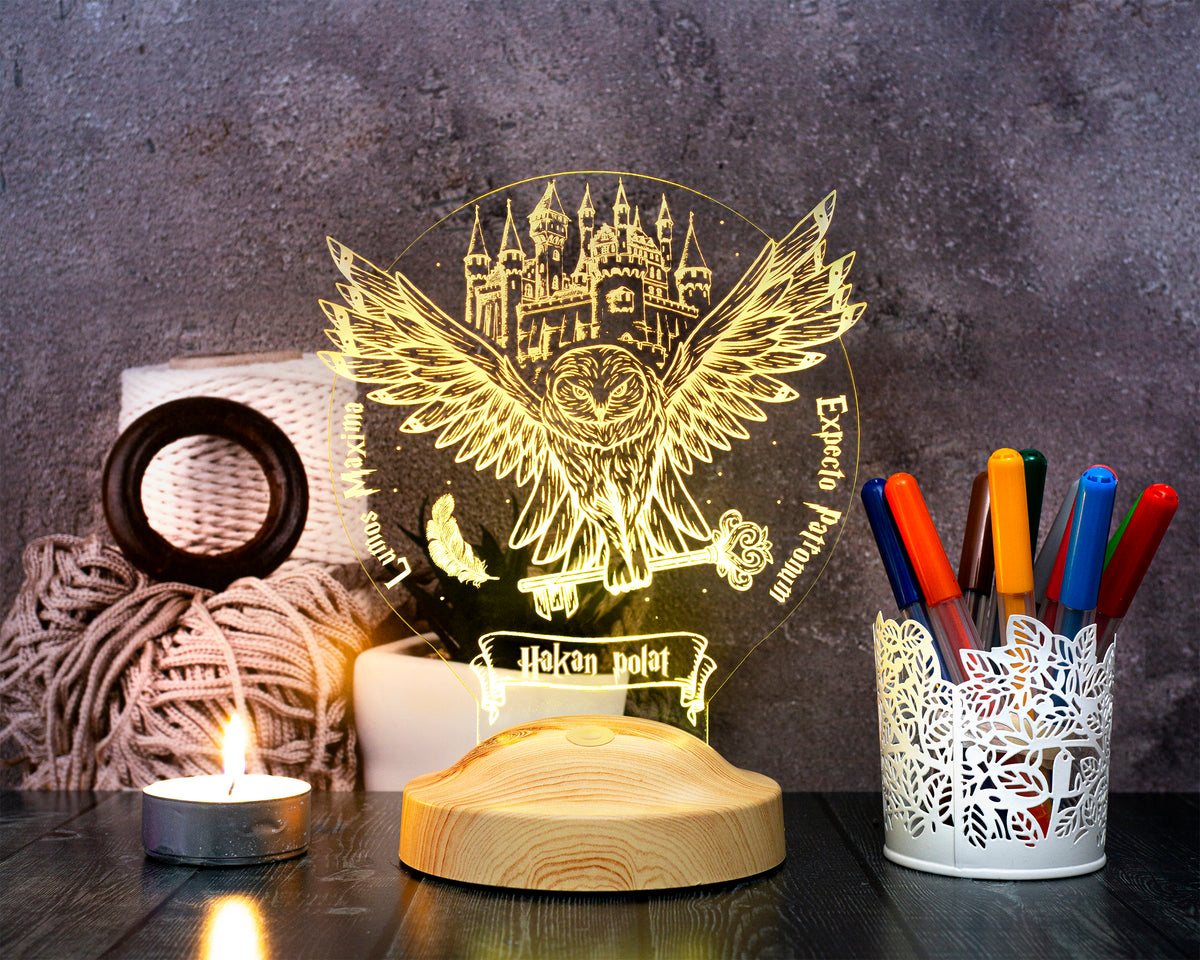 Hedwig Tasarımlı Kişiye Özel 3D Baykuş Lamba – Harry Potter Hediyesi ...